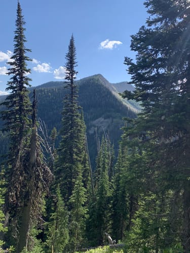 2023 Best trails in Ten Lakes Wilderness Study Area | AllTrails