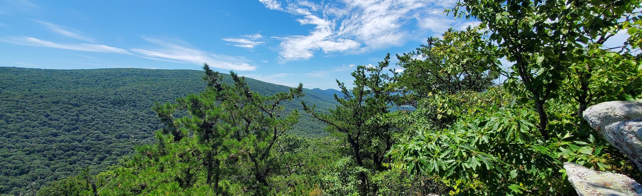 Halfmoon Mountain via Bucktail Trail Loop: 223 Reviews, Map - West ...
