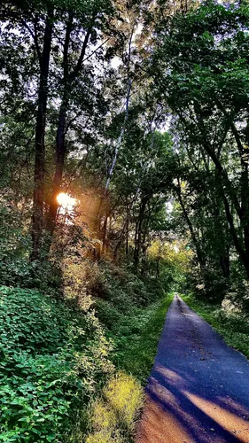 Best Hikes and Trails in Ridgeway Roadside Park | AllTrails