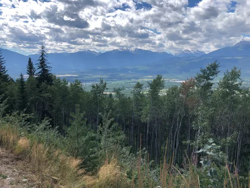 Best Mountain Biking Trails in Valemount | AllTrails