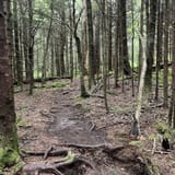 Sam's Knob and Little Sam Loop , North Carolina - 414 Reviews, Map ...