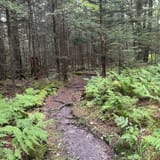 Sam's Knob and Little Sam Loop , North Carolina - 414 Reviews, Map ...