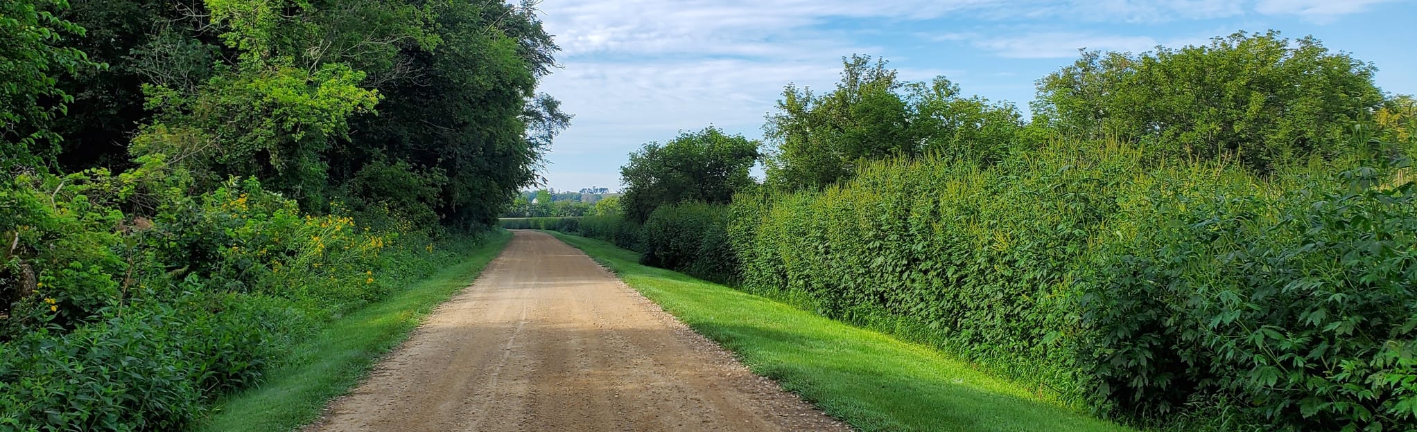 Cheese Country Recreational Trail: 21 Reviews, Map - Wisconsin | AllTrails
