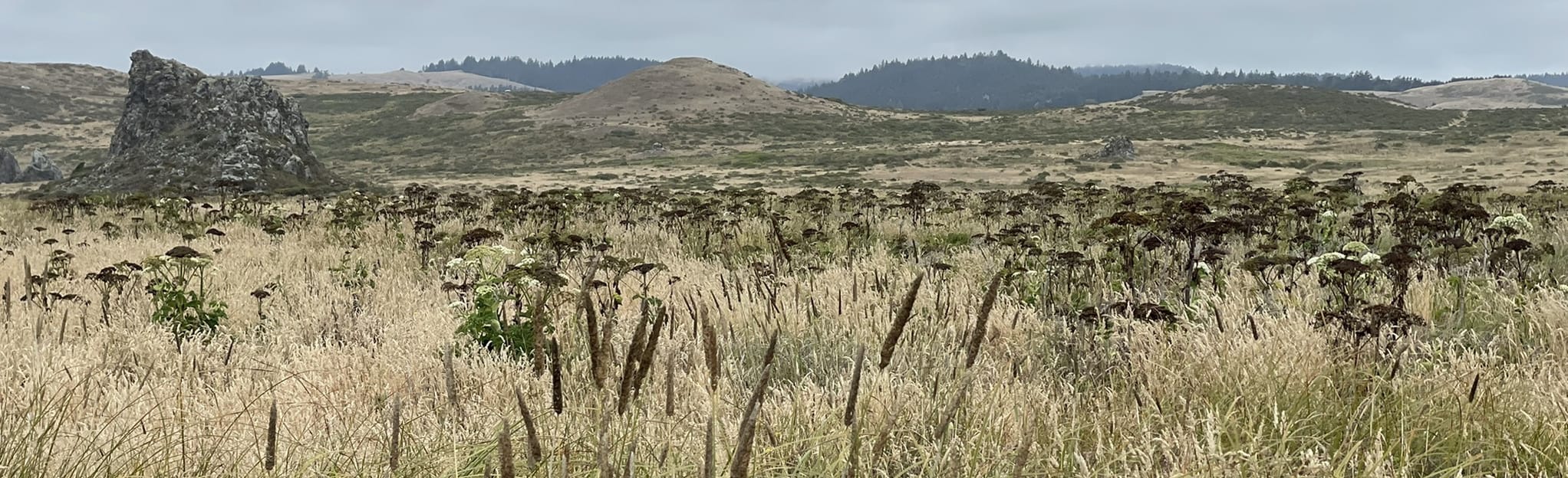 Kortum Trail: Shell Beach to Blind Beach: 1.510 foto's - Californië ...