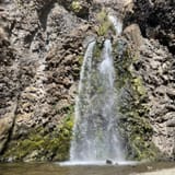 Fall Creek Falls Trail, Oregon - 309 Reviews, Map | AllTrails