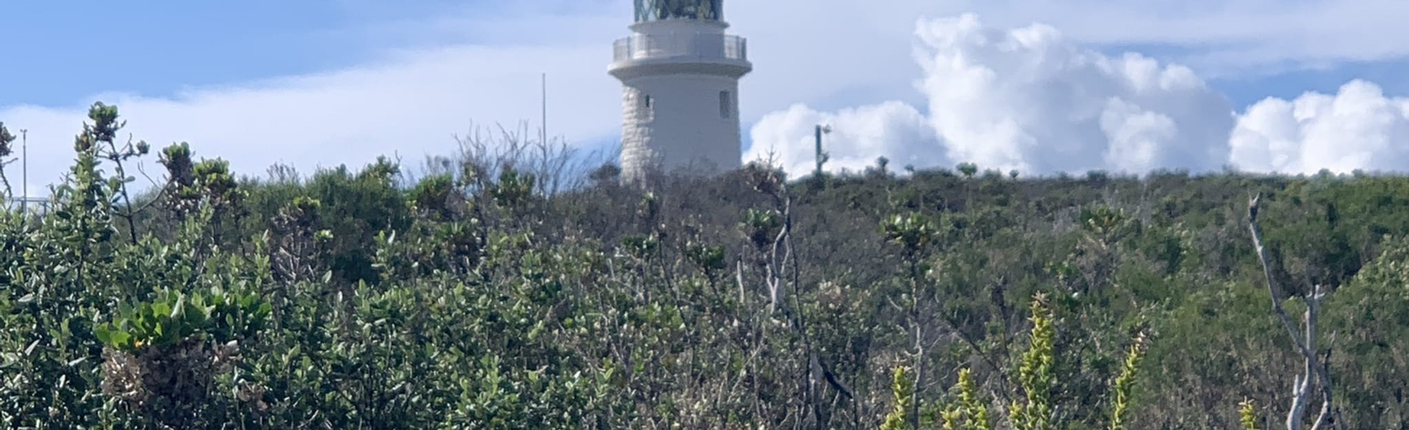 Cape Naturaliste Lighthouse Loop: 60 fotos - Austrália Ocidental ...