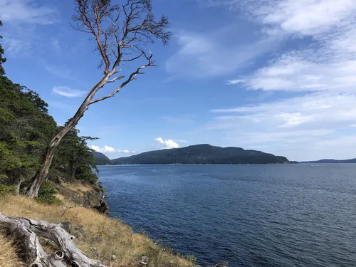 10 Best Trails and Hikes in Pender Island | AllTrails