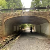 Webb Bridge Park Trail, Georgia - 727 Reviews, Map | AllTrails