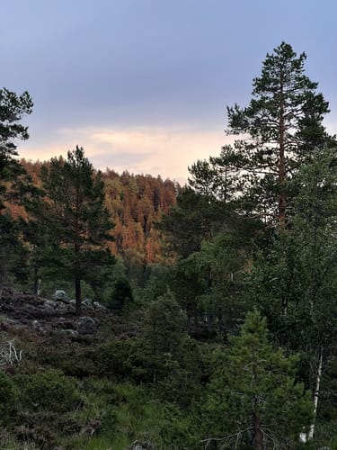 2023 Best Lake Trails in Solhomfjell and Kvenntjønnane Nature Reserve ...