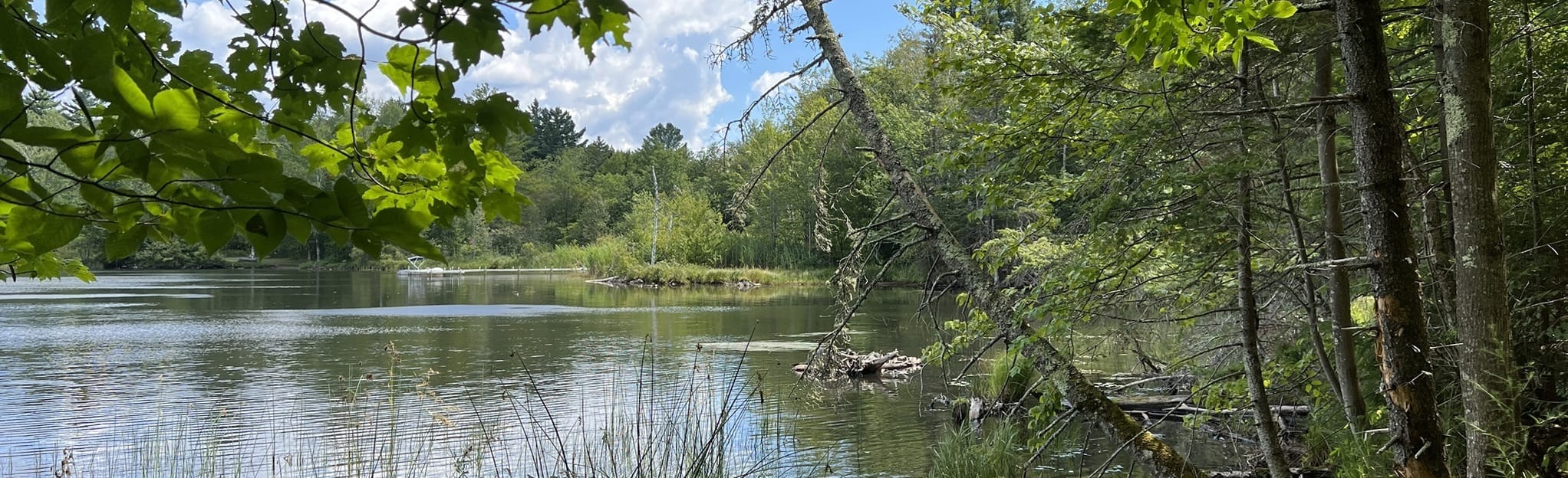 Appalachian Trail: Kent Pond to Green Gate Road | Map, Guide - Vermont ...