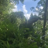 Temple Terrace Riverfront Park Trail, Florida - 35 Reviews, Map | AllTrails