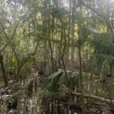 Temple Terrace Riverfront Park Trail, Florida - 35 Reviews, Map | AllTrails