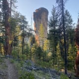 Steins Pillar Trail, Oregon - 370 Reviews, Map | AllTrails
