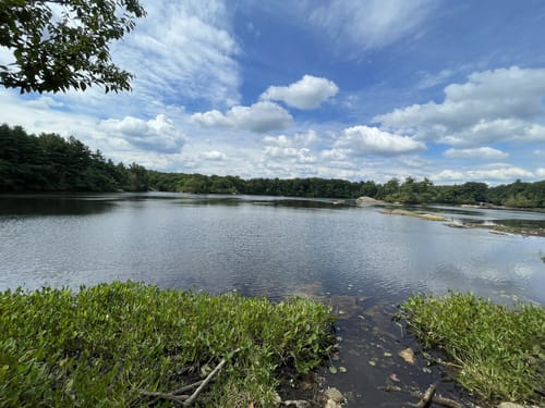 Best 10 Hikes and Trails in Breakheart Reservation | AllTrails