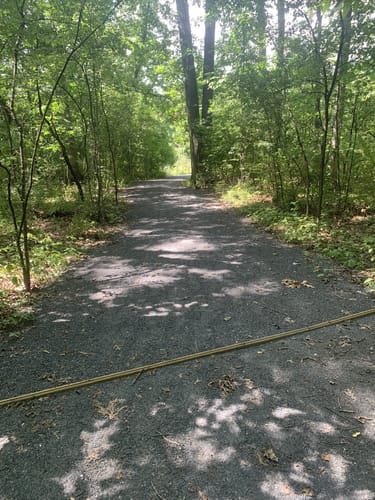 Best Hikes and Trails in Lederer Park | AllTrails