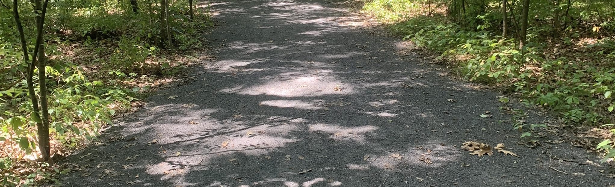 Lederer Park Loop, Pennsylvania - 27 Reviews, Map | AllTrails