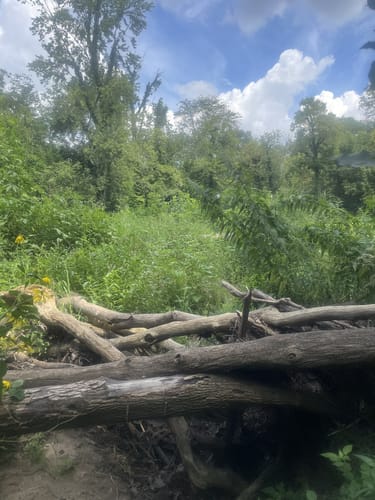 Best Hikes and Trails in Ferrettie/Baugo Creek County Park | AllTrails