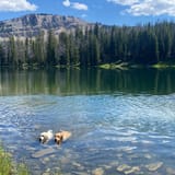 Goodwin Lake Trail, Wyoming - 320 Reviews, Map | AllTrails
