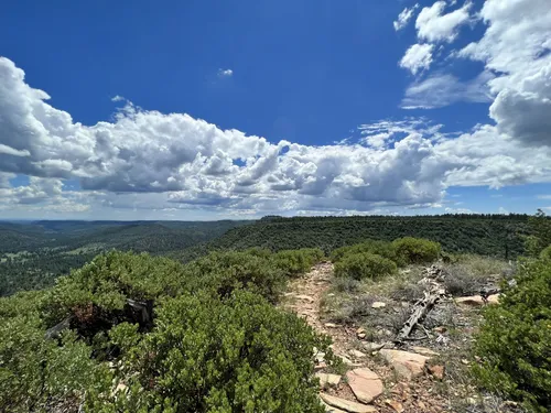 10 Best Trails and Hikes in Forest Lakes | AllTrails