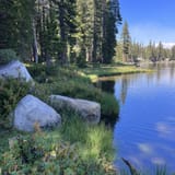 Ten Lakes Trail, California - 495 Reviews, Map | AllTrails