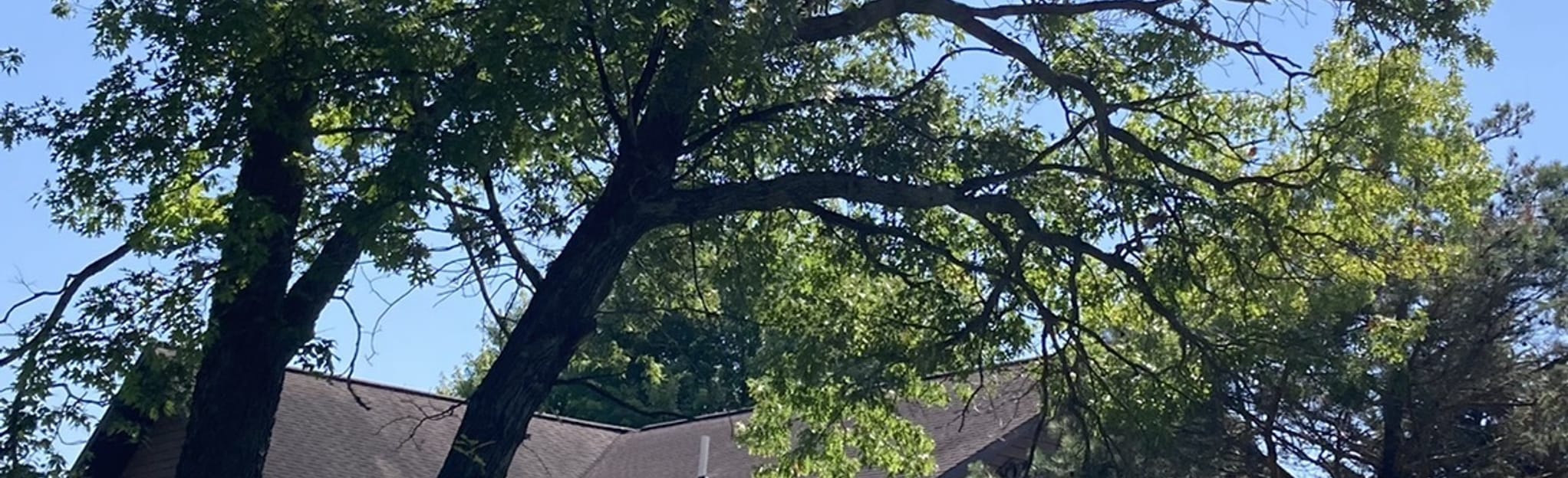 Prairie Springs Recreational Trail, Iowa - 6 Reviews, Map | AllTrails