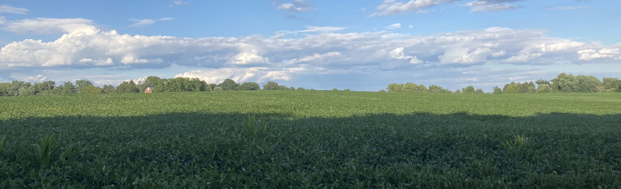 Farm Park Trail Loop, Pennsylvania - 62 Reviews, Map | AllTrails