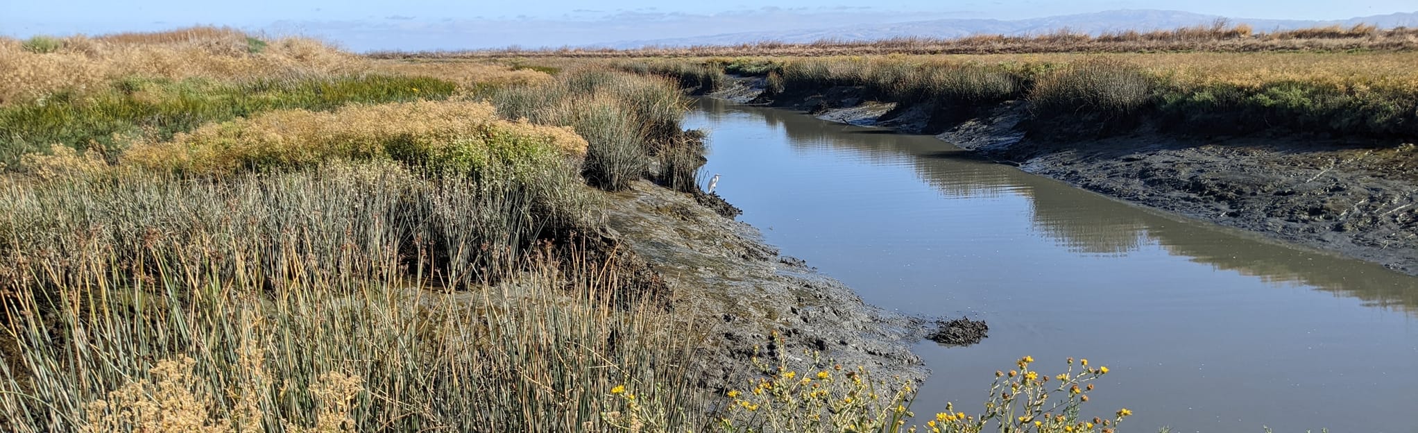 San Francisco Bay Trail Loop at Sunnyvale Baylands Park - California ...