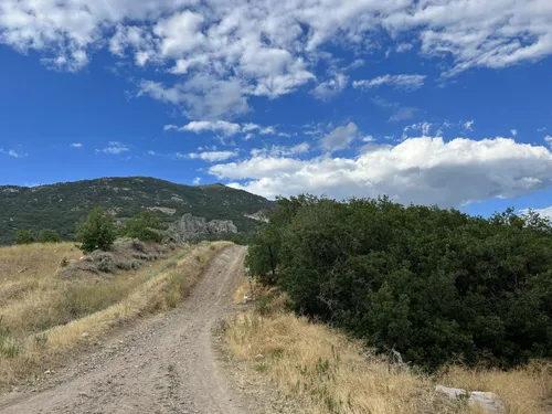 10 Best Hikes and Trails in Corner Canyon Regional Park | AllTrails