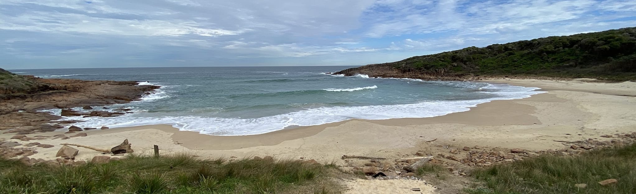 Kingsley Beach Bush Walk | Map, Guide - New South Wales, Australia ...