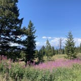 Goodwin Lake Trail, Wyoming - 320 Reviews, Map | AllTrails