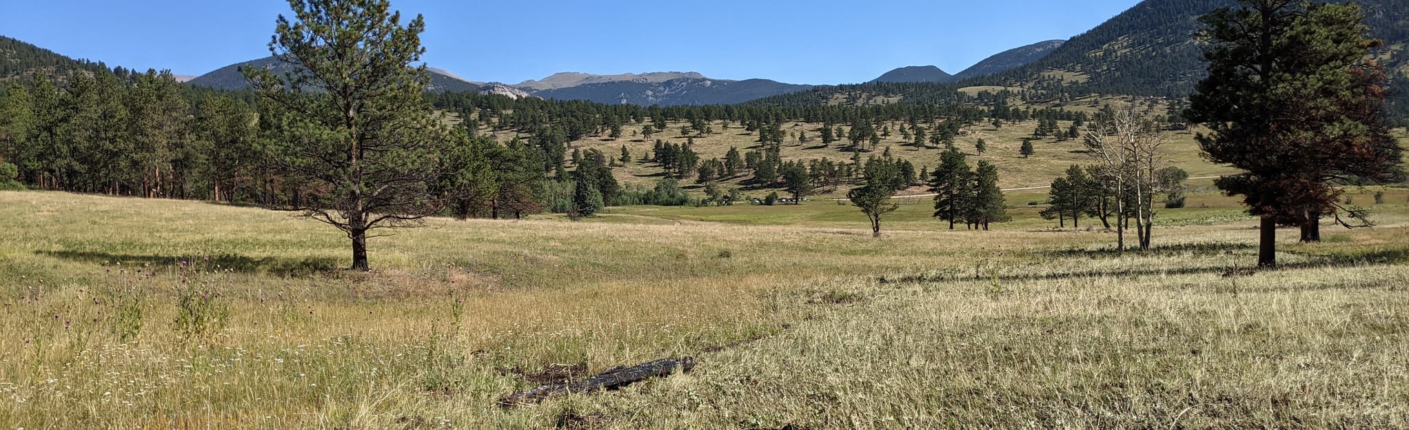 Upper Beaver Meadow Loop: 840 Reviews, Map - Colorado | AllTrails