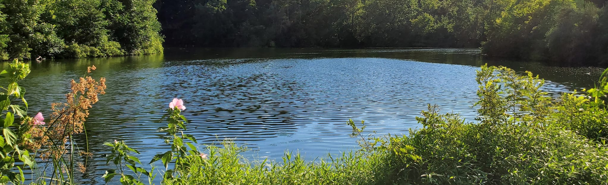 Duke Farms Inner Loop, New Jersey - 364 Reviews, Map | AllTrails