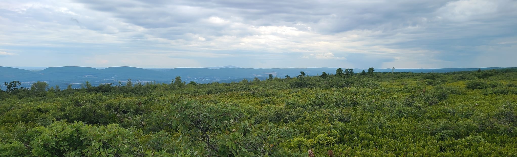 Moosic Mountain Loop: 505 Reviews, Map - Pennsylvania | AllTrails