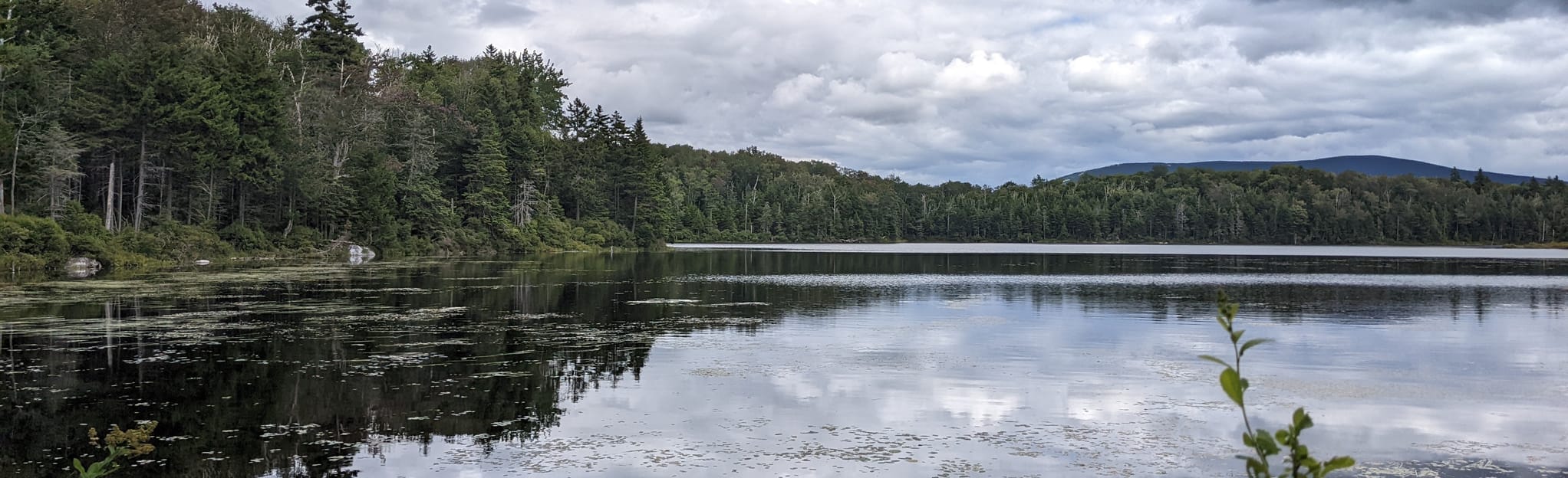 Branch Pond Trail: 8 Reviews, Map - Vermont | AllTrails