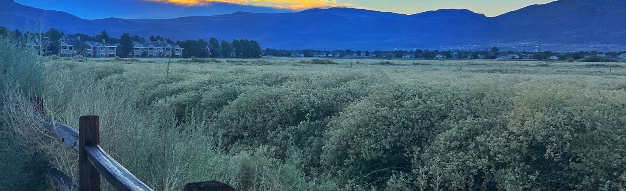 South Meadows Trail: 65 Reviews, Map - Nevada | AllTrails