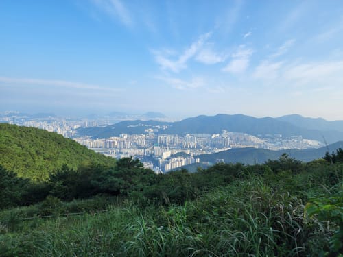 Best 10 Trails and Hikes in Busan | AllTrails