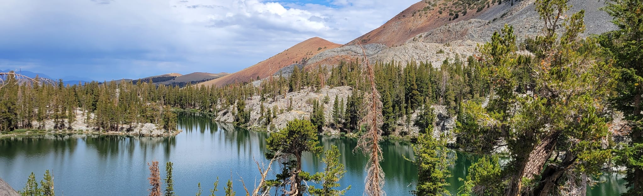 Barney Lake Trail: 1.572 foto - California | AllTrails
