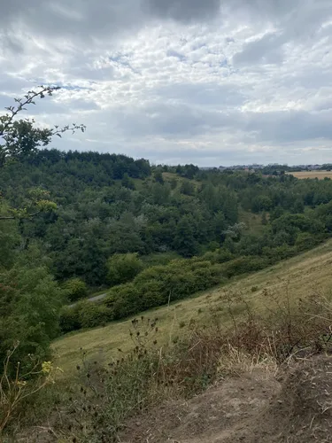 Best Hikes and Trails in Tunstall Hills Local Nature Reserve | AllTrails