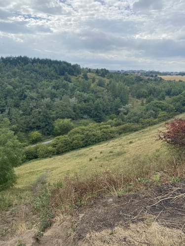 Best Hikes and Trails in Tunstall Hills Local Nature Reserve | AllTrails