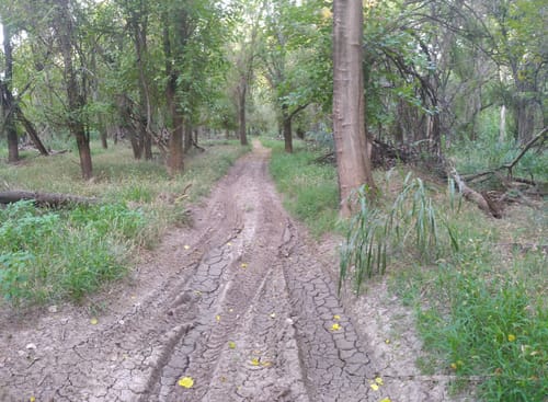 Best Hikes and Trails in McClellan Creek National Grassland | AllTrails