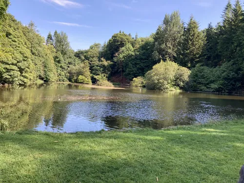 10 Best Trails and Hikes in County Cavan | AllTrails