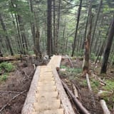Grafton Loop Trail, Maine - 80 Reviews, Map | AllTrails