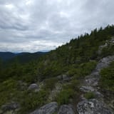 Grafton Loop Trail, Maine - 80 Reviews, Map | AllTrails