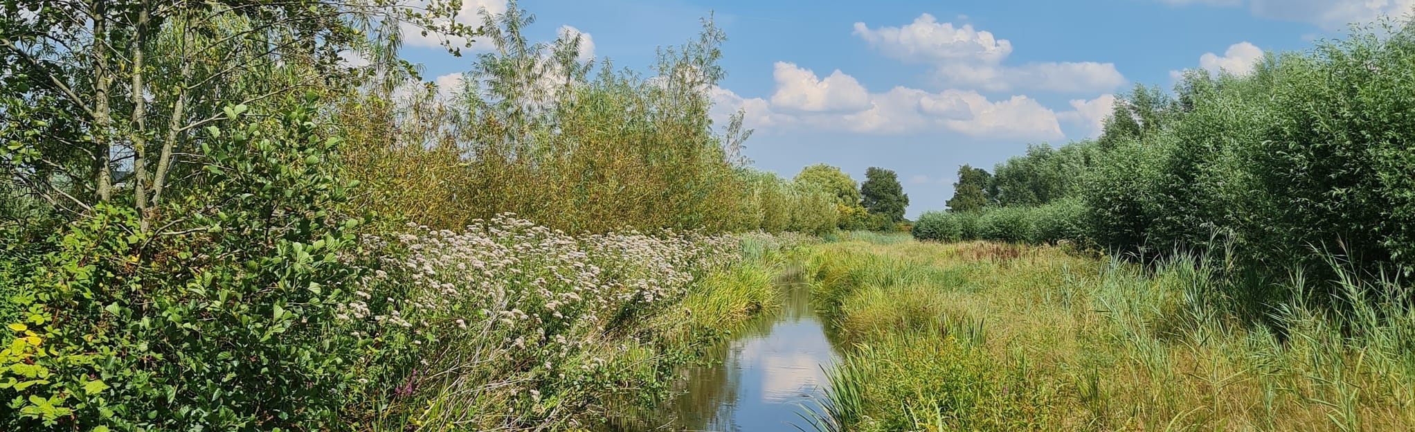 Gagelbos - Noorderpark : 52 foto's - Utrecht, Nederland | Wandelen ...