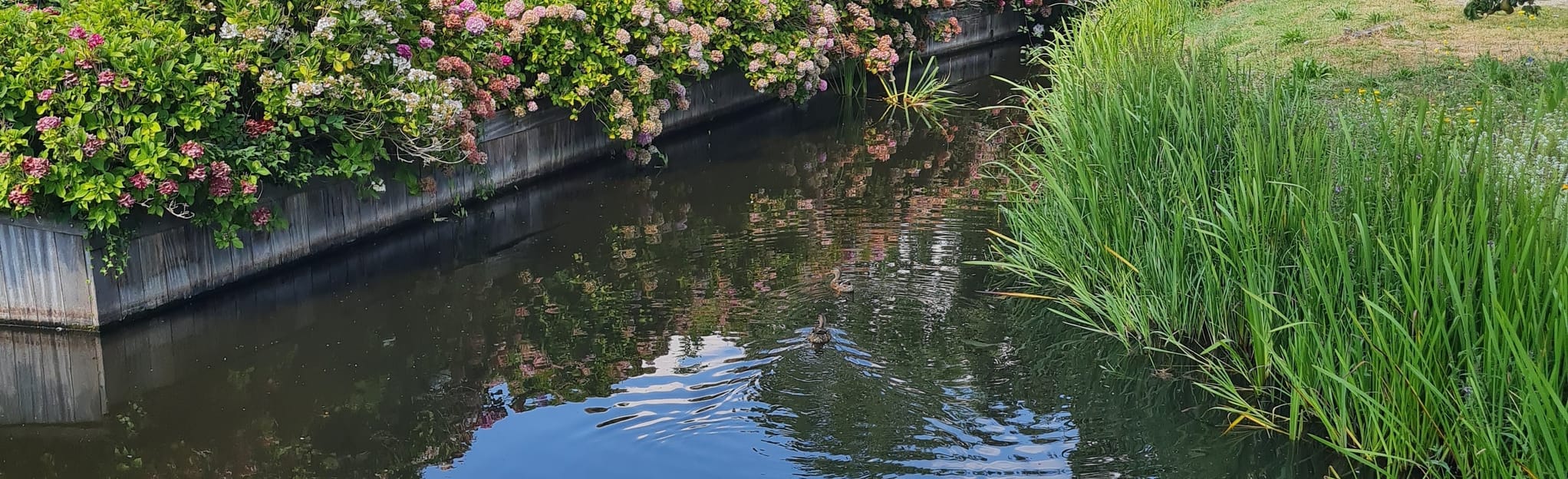 Utrecht te voet: Noorderpark - Rading | AllTrails