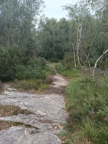 2023 Best Beach Trails in Aksdal | AllTrails