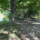 Snyder Flats Loop, Ontario, Canada - 539 Reviews, Map | AllTrails