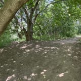 Snyder Flats Loop, Ontario, Canada - 539 Reviews, Map | AllTrails