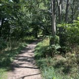 Snyder Flats Loop, Ontario, Canada - 539 Reviews, Map | AllTrails