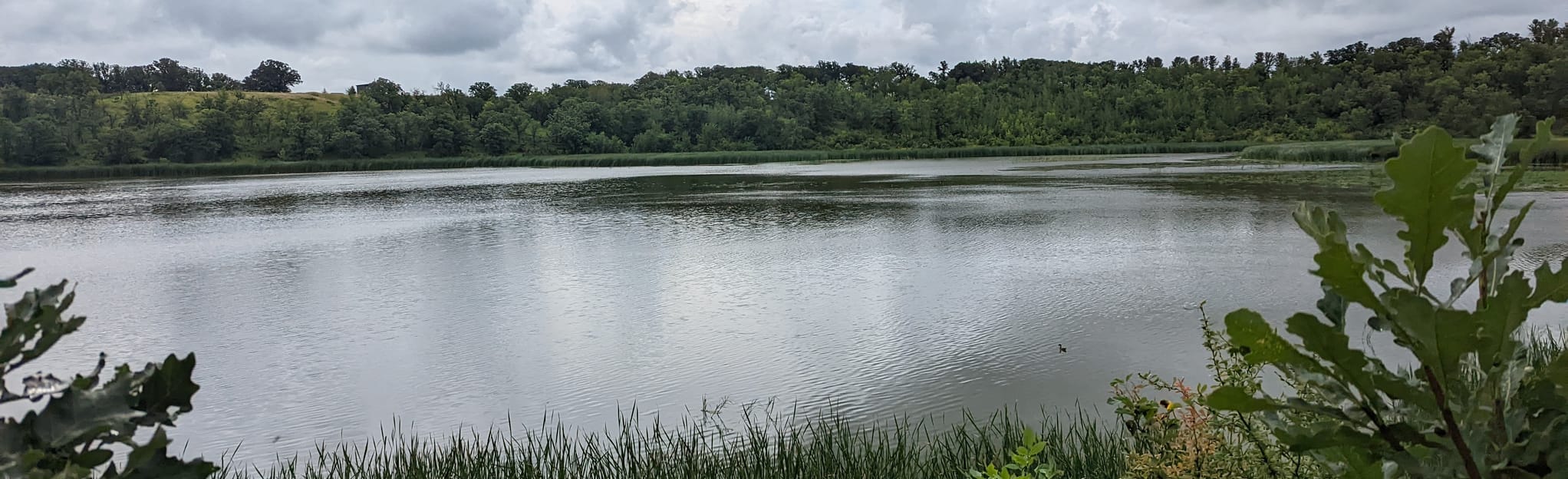 Willow and Deadwood Loop, Manitoba, Canada - 69 Reviews, Map | AllTrails